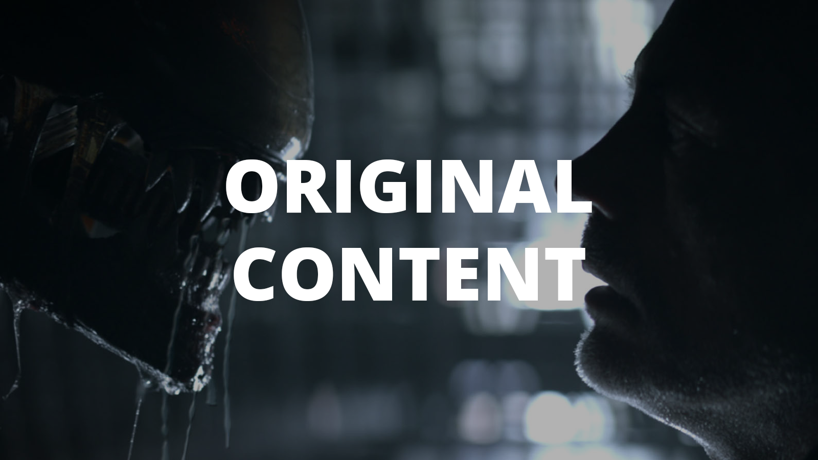 Original Content Gallery | Tongal